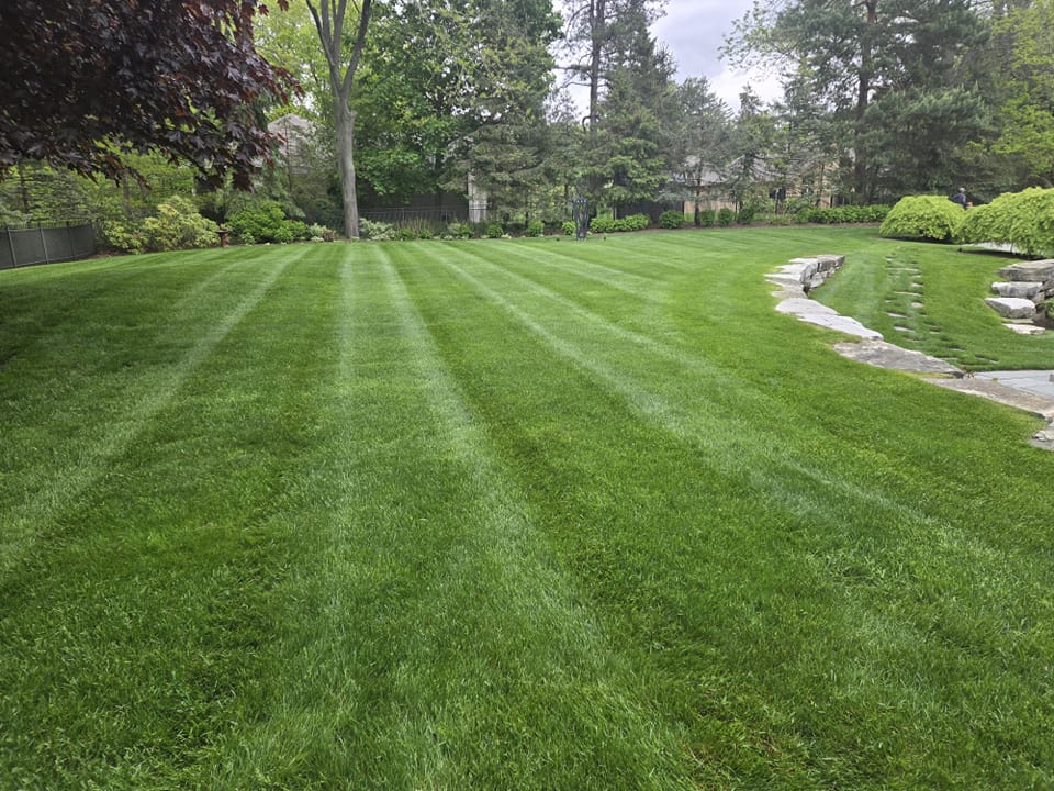 Thinking About a New Lawn? The Best Time to Plant Is Coming Soon ...
